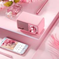 China Portable Style Private Mold Wireless Speaker with DAB TF Card and 3.5mm Stereo Line Out for sale