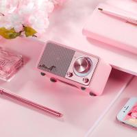 China Portable Style Private Mold Wireless Speaker with DAB TF Card and 3.5mm Stereo Line Out for sale