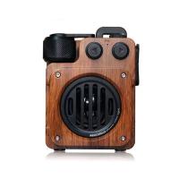China Customizable 4Ω Impedance Battery Powered Portable Speaker Compact Size for sale