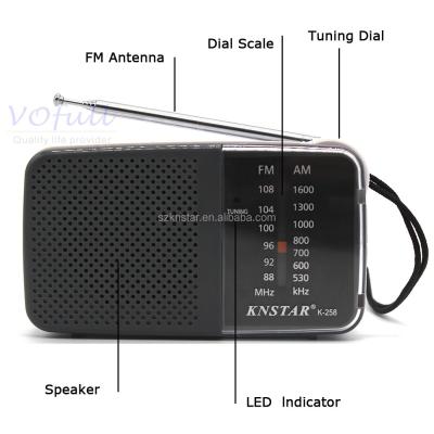China AUX Input FM Radio With AM/FM Black/Grey Colour USB Port And TF Card for sale