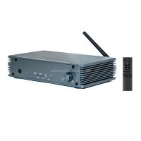 China 100W*2 Power Rating Metal Hifi Amplifier for Immersive Home Theater Experience for sale