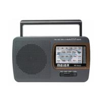 China AM/FM Portable Radio Player with 2.5INCH 2OU 5W Speaker and Rechargeable Battery for sale