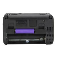 China AM/FM Portable Radio Player with 2.5INCH 2OU 5W Speaker and Rechargeable Battery for sale