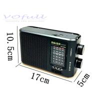 China Internet Radio Function Handheld FM Radio with 2.5