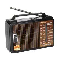 China Small AM FM Radio Portable Radio With USB Port To Play Music With Rechargeable Battery Pack for sale