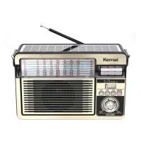 China Best Reception Portable Am Radio Player With Rechargeable Battery Pack And USB/TF Slot for sale