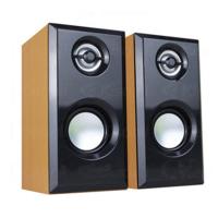 China Hi-Fi Active Bookshelf Speaker with 4