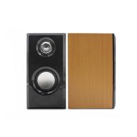 China Hi-Fi Active Bookshelf Speaker with 4