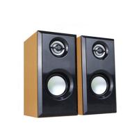 China Hi-Fi Active Bookshelf Speaker with 4