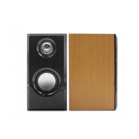 China Hi-Fi Active Bookshelf Speaker with 4
