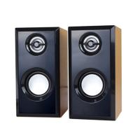 China Hi-Fi Active Bookshelf Speaker with 4