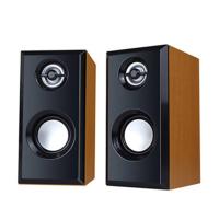 China Hi-Fi Active Bookshelf Speaker with 4