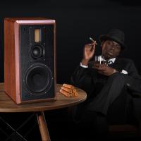China Vofull KH-510 Wireless Bookshelf Speakers with 8 Inch Woofer and Tube Amplifier for sale