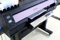 China OEM Custom Mobile Belt Conveyor 50kg Bags Loading for sale