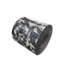 China SGS Prepainted Galvanized Steel Coil 0.11-2.5mm PPGI PPGL Metal Roll RAL Color for sale