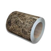 China SGS Prepainted Galvanized Steel Coil 0.11-2.5mm PPGI PPGL Metal Roll RAL Color for sale