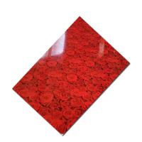 China PPGL Prepainted Galvanized Steel Coil Z275 Z600 0.11 2.5mm Width 600 1250mm for sale