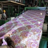 China ASTM High Glossy PPGL Coil SGS 8-35um Prepainted Galvalume Steel Coil 600-1250mm for sale