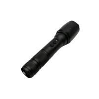 China Spare Parts Type Advanced Green Laser Torch with Wide Temperature Range and Green Beam for sale