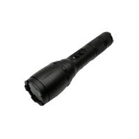 China High Output 520nm 800mW Customized Laser Torch with IP65 Ingress Protection Rating for sale