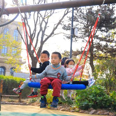 China Customized Color 100cm 120cm Round Rope Nest Swing with Hanging Ropes for Kids for sale