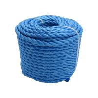 China 10mm Twisted 3-Strand Polypropylene PP Danline Fishing Rope 220m Coil Floating Marine Grade for sale