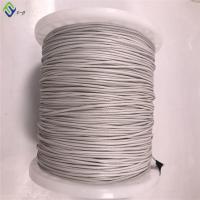 China 2.5mm 12-Strand UHMWPE Rope 1000m Length for Industrial Towing and Marine Applications for sale