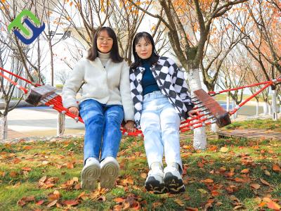 China Commercial Outdoor Tree Swing Hammock Seat Heavy Duty EN1176 Certified - 600kg Capacity, 150-200cm Sizes for sale