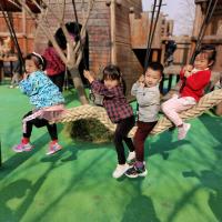 China Khaki Walking Playground Rope Bridge 2.5m x 120mm with 150kg Capacity for Outdoor Amusement Parks for sale