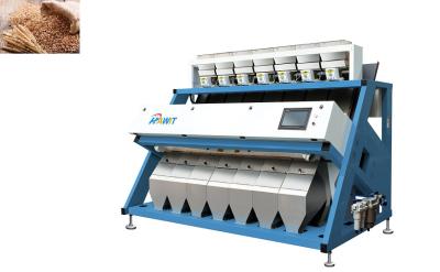 China High Frequency Injector Wheat Color Sorting Machine 448 Channels 5-10 t/h for sale