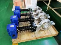 China Aluminum Alloy Switch, Adjustable Mini Electric Actuator AC110V, 220V, 380V, DC24 for sale