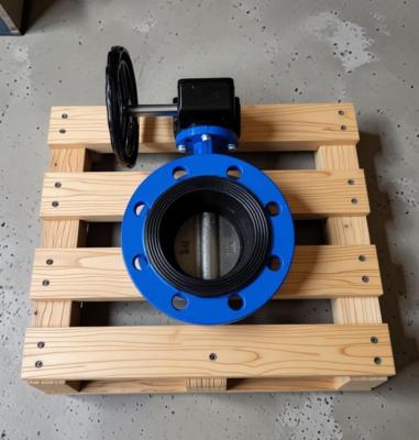 China 2in-48in Large Caliber WCB SS304/316 Flange Soft Seal Double Flange Concentric butterfly Valve with Gearbox  Standard for sale