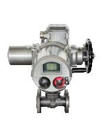 China Multi-Turn Electric Gate Valve, Stainless Steel/ECB, 2