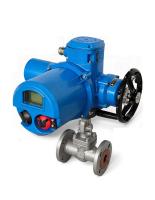 China Multi-Turn Electric Gate Valve, Stainless Steel/ECB, 2