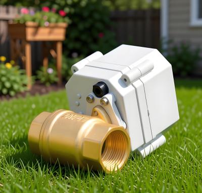 China Etrany  2-way DN20 AC/DC9-24V Brass Electric Water Ball Valve Flow Regulation Control IP67 Protection for sale