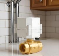 China Etrany  2-way DN20 AC/DC9-24V Brass Electric Water Ball Valve Flow Regulation Control IP67 Protection for sale