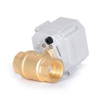 China Etrany  2-way DN20 AC/DC9-24V Brass Electric Water Ball Valve Flow Regulation Control IP67 Protection for sale