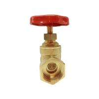 China Heavy Duty Forged Brass Gate Valve 1/2