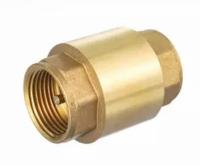 China High Sealing Brass Spring Loaded Check Valve BSP Female Thread PN16 Water Supply Non-return Valve for sale