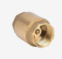 China High Sealing Brass Spring Loaded Check Valve BSP Female Thread PN16 Water Supply Non-return Valve for sale
