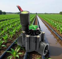 China Nylon Reinforced Solenoid Valve 12V 24V DC/AC, Durable Irrigation Diaphragm Valve for Agriculture & Landscaping Water Control for sale