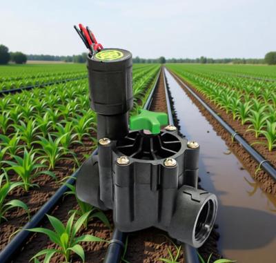 China Nylon Reinforced Solenoid Valve 12V 24V DC/AC, Durable Irrigation Diaphragm Valve for Agriculture & Landscaping Water Control for sale