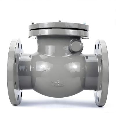 China ANSI B16.2in 20in  Pornd 150 - 800 Pornd Adjustable Cast Iron Swing Check Valve Type  High Quality Delivery Is Prompt for sale