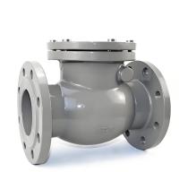 China ANSI B16.2in 20in  Pornd 150 - 800 Pornd Adjustable Cast Iron Swing Check Valve Type  High Quality Delivery Is Prompt for sale