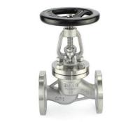 China 2-way CF8 Stainless Steel Flanged Globe Valve for Industrial Municipal & Water Treatment Project for sale