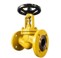 China 1/2in 15in PN16-PN40 High Temperature Resistance Heat Transfer Oil Cast Steel Bellow Seal Globe Valve Applicable Water for sale