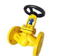 China 1/2in 15in PN16-PN40 High Temperature Resistance Heat Transfer Oil Cast Steel Bellow Seal Globe Valve Applicable Water for sale