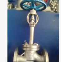 China CF8 304 Stainless Steel Extended Stem Cryogenic Globe Valve Flanged OS&Y Low Temp Globe Valve for LNG Liquid Nitrogen Pipeline for sale