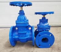 China Resilient Seated Gate Valve EPDM/NBR Seal DN50-DN600 Complete Sizes Industrial Gate Valve for sale