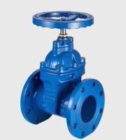 China Resilient Seated Gate Valve EPDM/NBR Seal DN50-DN600 Complete Sizes Industrial Gate Valve for sale